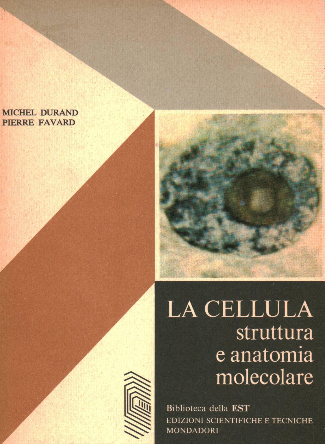 Michel Durand, Pierre Favard, usato, La cellula, Struttura e anatomia molecolare, Libreria ...